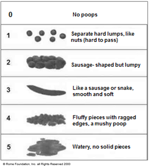 דף נחיתה - 448849